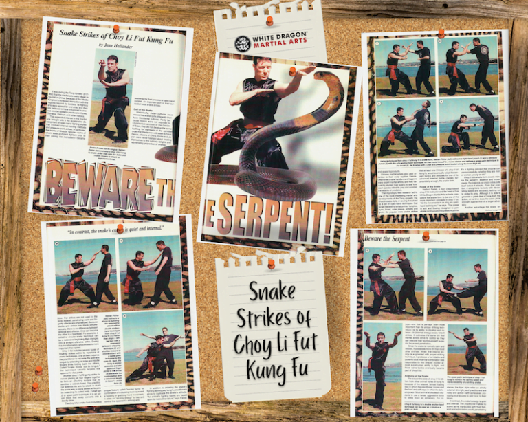 Snake Strikes of Choy Li Fut Kung Fu - White Dragon Martial Arts