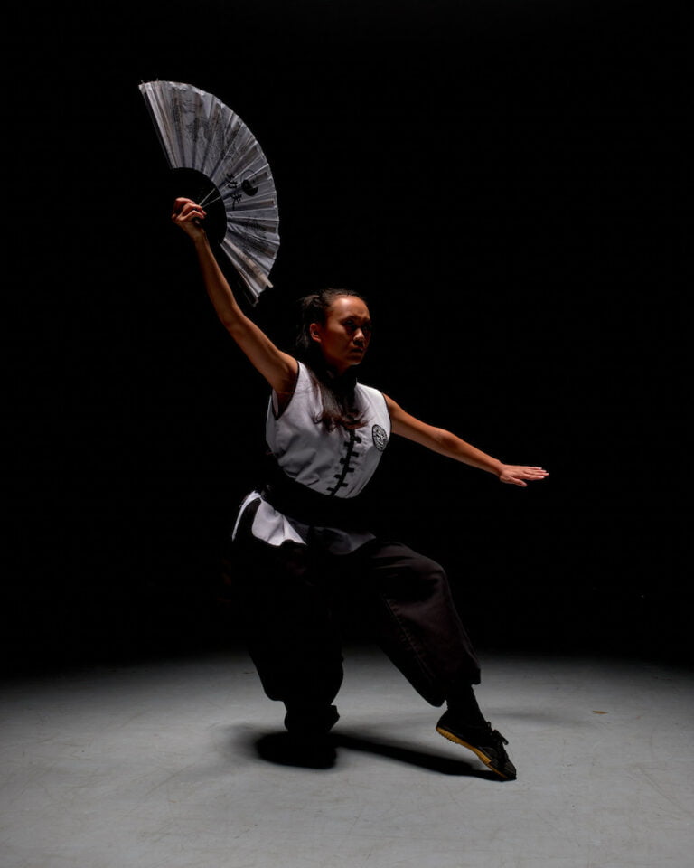 The Fan's Fighting Application - White Dragon Martial Arts